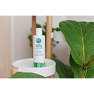 Fiddle Leaf Fig Tree Plant Food for Ficus Lyrata (and Ficus Audrey) – Calcium Fortified, Urea-Free and with NPK Ratio of 3-1-2 for Healthy Roots, Stems and Leaves (8 Ounces))