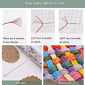 Funchey Cross Stitch Kits Stamped Full Range of Patterns Embroidery Starter Kits for Adult Beginners and Kids DIY Easy Printed Cross-Stitch Kits for Home 11CT- (Beauty28)