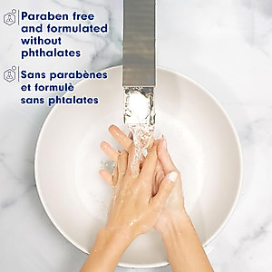 Softsoap Moisturizing Liquid Hand Soap, Soothing Clean Aloe Vera - 7.5 Fl Oz (Pack of 6)