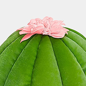 VETRESKA Cute Cactus Cat and Dog Bed, Cats Cave Dog House, Comfy Pet Bed with Machine Washable Nest Cushion for Cats, Dogs, Puppy, Kitty, Kitten, Rabbit, Green Cactus