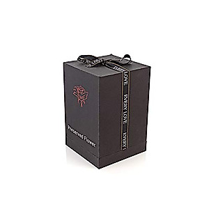 Sharper Image Timeless Rose - Red