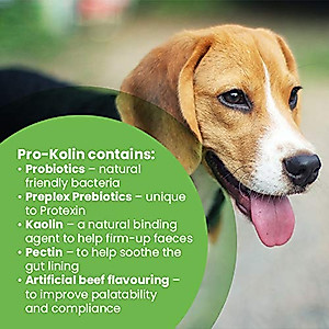 Protexin Pro-Kolin Plus Syringe 30 ml