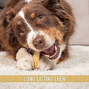 Wild Eats Water Buffalo All Natural Ear Dog Chews, Dog Treats & Dog Snacks - 20 Piece Value Pack (Grain Free Dog Treats - Great Alternative to Pig Ears, Cow Ears, Dog Bones & Rawhides for Dogs)