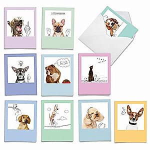 The Best Card Company - 10 Blank Dog Cards Assorted (4 x 5.12 Inch) - Adorable Boxed Animal Note Cards for All Occasions - Dogs & Doodles M6582OCB