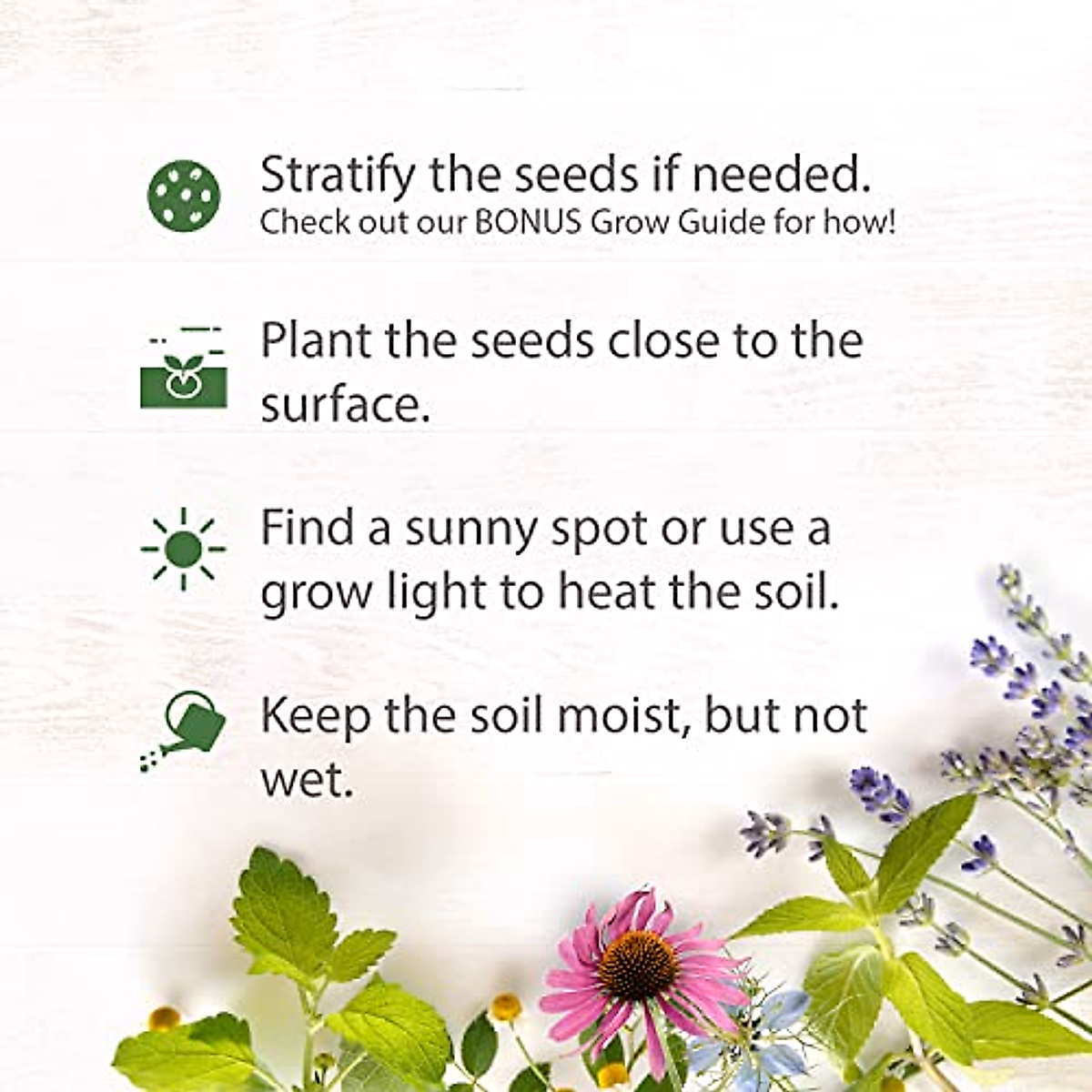 Medicinal Herb Seeds Collection | 6 Heirloom Tea Seeds | Non GMO Lavender, Chamomile, Mint Seeds for Planting Outdoors & Indoors - Lemon Balm, Peppermint, Echinacea | Gardening Gifts for Women & Men