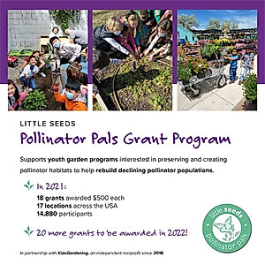 Little Seeds Monarch Hill Poppy Kids White, Blue Drawers Desk