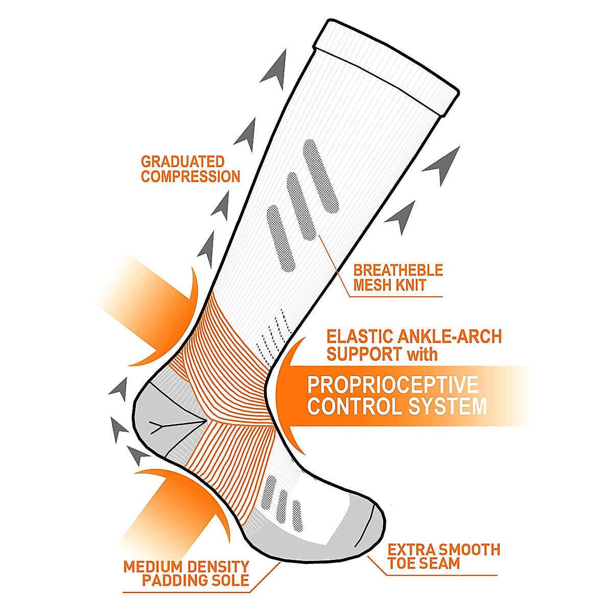 Vitalsox Sports Outdoor Compression Pair Equilibrium Socks, Black, Large US