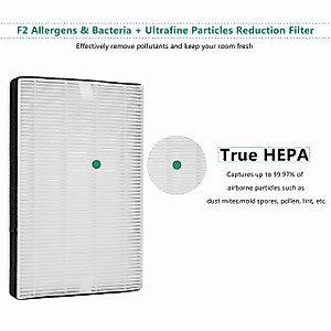 Drolma F2 A2 replacement filter, compatible with 3M Filtrete Air Purifier models FAP-C02WA-G2,FAP-C03BA-G2,FAP-C02-F2,FAP-T03-F2 and FAP-TO3-A2, 2pack