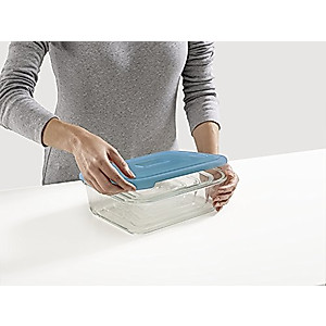 Joseph Joseph Nest Glass Storage Dishes-Multi-Colour, Set of 4, Multicolor