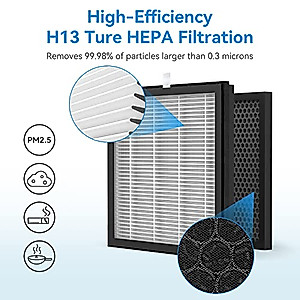 Tailulu H13 True HEPA Air Purifier Replacement Filter for HQZZ-260 Air Purifier, With 3-in-1 Filter for Large Room Filter Allergies Pollen Smoke Dust Pet Dander(1 Pack)
