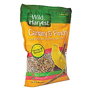 Wild Harvest B12492Q-001 Canary and Finch Food Blend, One Size,2.17 pound