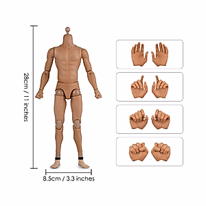 DS. DISTINCTIVE STYLE 1/6 Scale Male Body Narrow Shoulder Standard 12 Inch Action Figure with 8 Interchangeable Hands for Most Head Sculpt