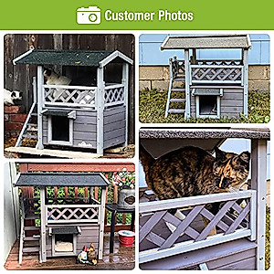 Cat House with Door for Feral Cats, Rainproof Outside Kitty House, 2 Story Wooden Kitten Condo with Stairs (AIR09-BS)