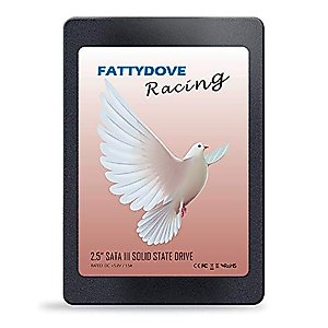 FATTYDOVE 2.5 inch SSD 240GB Internal Drive SATA III 6 Gb/s Solid State Drive with SATA 3.0 Cable for 4K Video Game/PC (240GB SSD Drive)