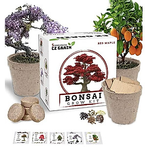 Bonsai Tree Kit – Grow 5 Species of Bonsai Tree w/ Our All-in-One Plant Kit: Bonsai Pots & Peat Pellets Including a Tutorial Video by CZ Grain | Great Gardening Gifts for Women and Men