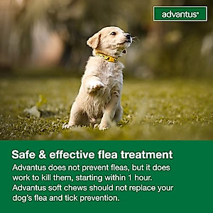Advantus Dog Advantus Chewable Flea Treatment for Dogs 4 - 22 lbs. | 7 ct.