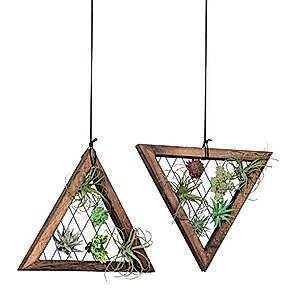 J JACKCUBE DESIGN Air Plant Triangle Frame Hanging Airplant Holder, Rustic Wood Tillandsia, Succulent Plants Display Hanger Shelf for Wall Décor, Set of 2- MK1061A