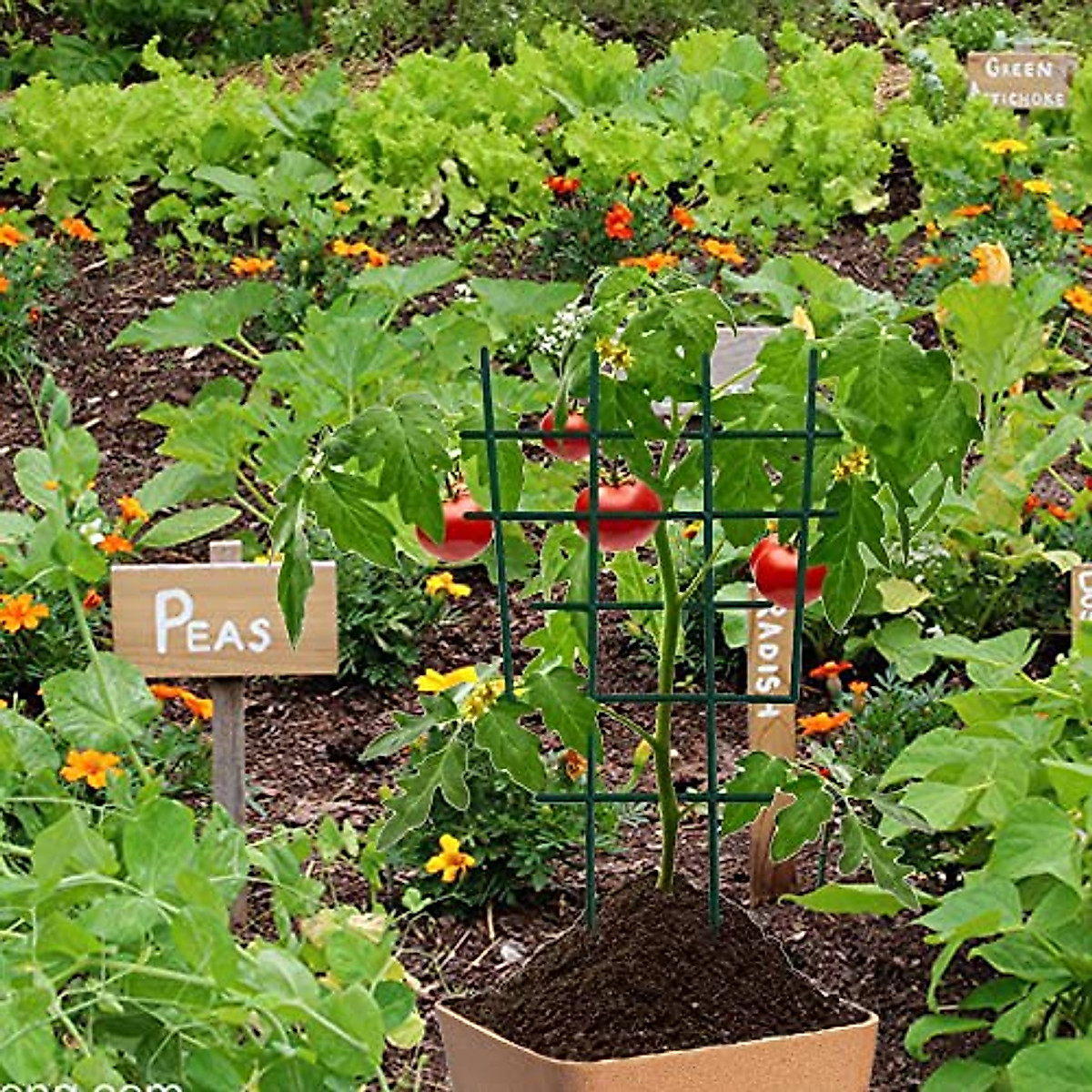 Trellis for Potted Plants, Garden Trellis Stackable Plastic Potted Plant Support DIY Indoor Outdoor Frame for Climbing Plants Vines Vegetable Cucumber Flower Pots Trellis 9 Packs