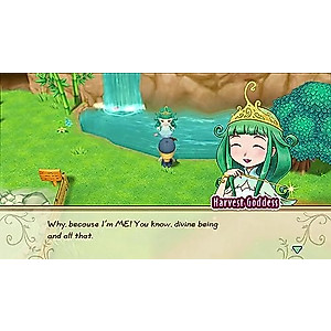 Story of Seasons - Friends Of Mineral Town (Nintendo Switch)
