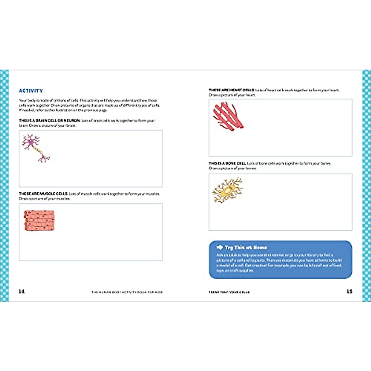 Human Body Activity Book for Kids: Hands-On Fun for Grades K-3