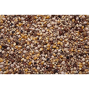 Flyer Pigeon Mix (14%) 8 lbs