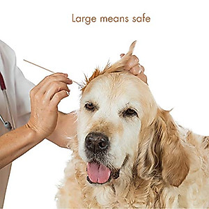 GLADOG 6 Inch Professional Large Cotton Buds for Dogs, Specially Designed Dog Cotton Buds with Wood Handle, Large Means Safe