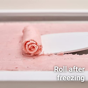 Berthan Premium Stainless Steel Rolled Ice Cream Maker