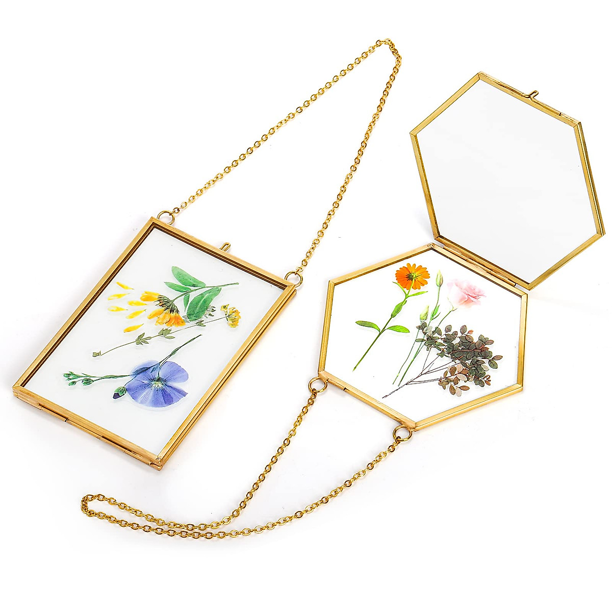 AVLA 3 Pack Pressed Flowers Glass Frames, Brass Hanging Picture Frames with Chain, Small Golden Floating Photo Frame, Clear DIY Artwork Display Frame for Wall Decor, Dried Plant Specimen