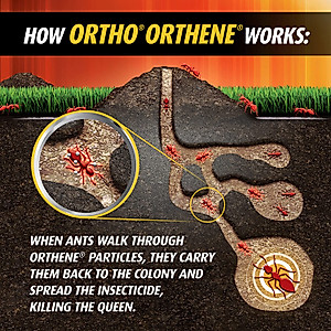Ortho Orthene Fire Ant Killer1, 12 oz. (12-Pack)