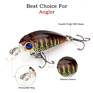 Crankbaits Fishing Lures Baits，Mini Fishing Lure Swimbaits Micro Crank Baits Topwater Lures for Freshwater Saltwater Bluegill Pumpkinseeds Trout Perch with Tackle Boxes (M01)