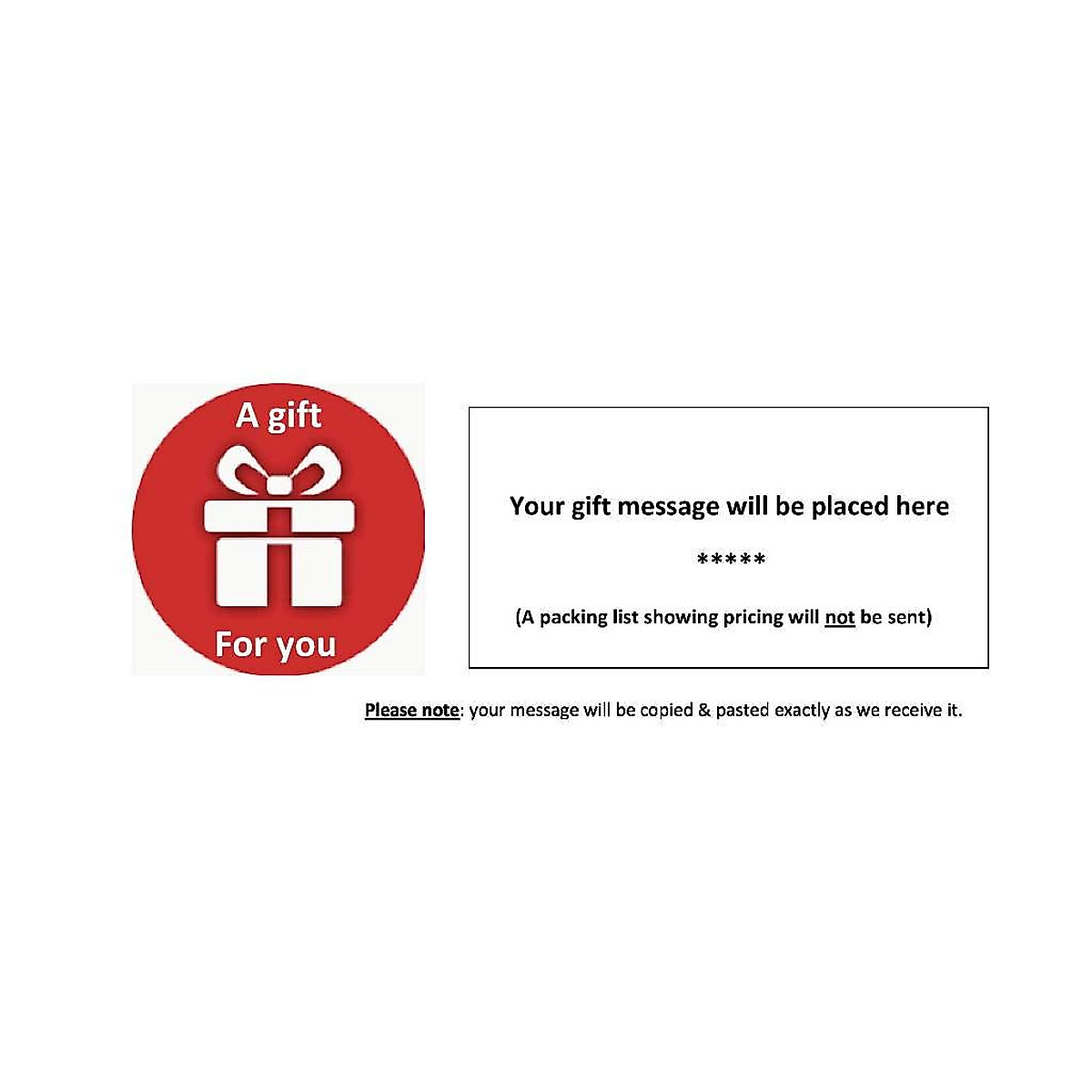 Flat Earth Map Dome Display Model