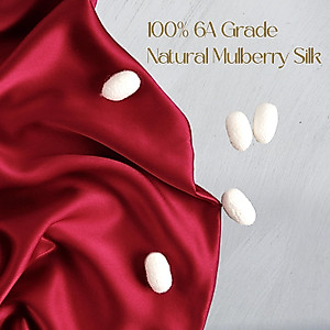 ZIMASILK 100% Pure Mulberry Silk Pillowcase for Hair and Skin Health,Soft and Smooth,Both Sides Premium Grade 6A Silk,600 Thread Count,with Hidden Zipper,1pc(Standard 20''x26'',Burgundy)