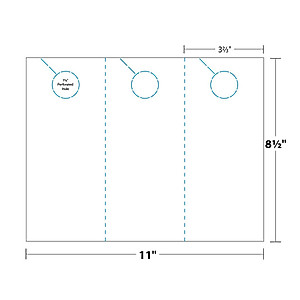 Blanks/USA 3.67 x 8.50 67 lbs. Digital Bristol