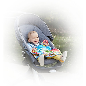 Fisher-Price On-the-Go Activity Throw