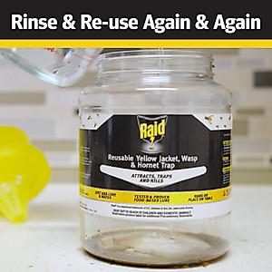 Raid Wasp Trap Refill