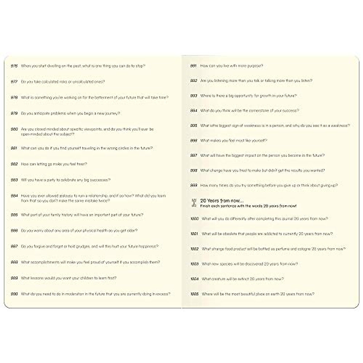 3000 Questions About My Future