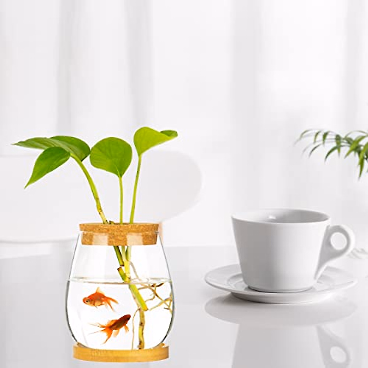Desktop Fish Bowl Clear Glass Small Fish Tank with Wood Lid and Bamboo Stand for Betta Fish Plants Terrarium Home Office Decoration Gifts