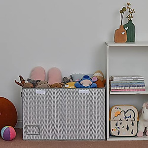 GRANNY SAYS Bundle of 1-Pack Extra Large Rectangle Storage Bins & 3-Pack Rectangle Storage Bins for Closet