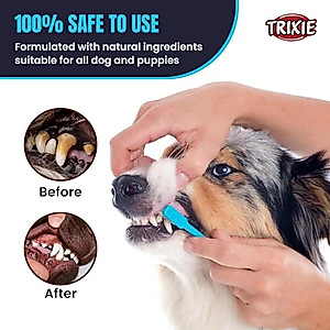 TRIXIE Mint Toothpaste for Dog, 100 G, White