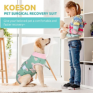 KOESON Dog Recovery Suit After Surgery, Soft Dog Spay Recovery Suit Female, Anti Licking Abdominal Dog Surgery Suit Pet Surgical Shirt, Breathable Dog Onesie E-Collar & Cone Alternative Strawberry M