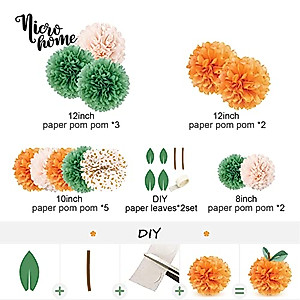 NICROHOME Little Cutie Baby Shower Decorations, 12 PCS Light Orange Green Tissue Paper Pom Poms for Party Decorations, Birthday, Spring Summer Party, Fruit Themed Parties