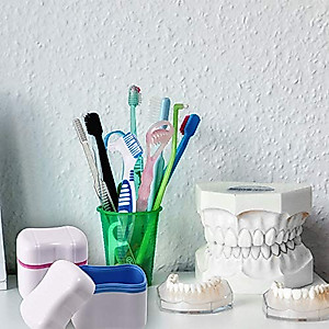 2 Denture Bath Cases Denture Cups with 2 Denture Cleaner Brushes Denture Boxes Dentures Container with Basket Denture Holder Brush Retainer Case for Travel Retainer Cleaning (Blue, Red, Purple)