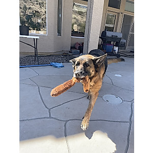 Jalousie 5 Pack Stuffingless Dog Squeaky Toys Dog Toy w/Durable Liner No Stuffing Dog Toy - Dog Toys Crinkle Paper Squeaker Toy for Medium Large Dogs (5 Pack - Color 4 - Squeaky)