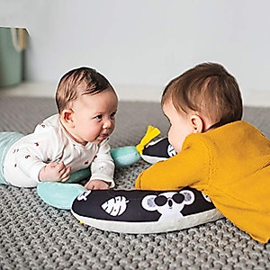 Taf Toys 2 in 1 Tummy-Time Soft Baby Developmental Pillow for 0-5 Months, Newborns and Infants Fun Play Time on Tummy