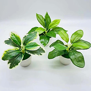 Angel3292 Artificial Potted Plant Realistic Plastic Eye-Catching Imitative Bonsai Plants for Home Potted Plant Delicate for Garden