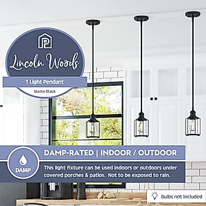 Prominence Home Lincoln Woods 1 Light Matte Black Industrial Pendant Light with Cage and Clear Glass