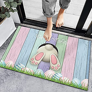 Indoor Doormat Absorbent Bath Rugs Entrance Non Slip Front Door Mat Spring Easter Bunny Egg Grassland Kitchen Carpets Colored Wood Board Floor Mats for Bathroom Bedroom Living Room Decor 16x24In