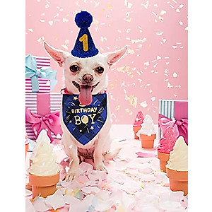 AULEGE Adorable Hat and Bandana Square Scarf for Dog Birthdays, Boy Dog Birthday Crown Hat for Small Medium Large Dog, Birthday Outfit and Decoration Supply Set, Royal Blue