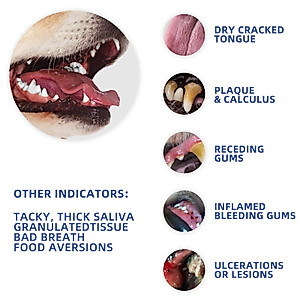 Chongwuge Pets Dental Spary for Dogs & Cats, Freshens Breath, Cleaning Plaque and Tartar, Safe and Edible, Easy Use, Pack of 2, 8 fl oz