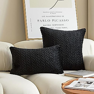 UGASA Velvet Pillow Covers Striped, Decorative Throw Cushion Case with Hidden Zipper for Home Couch/Bedroom, Soft Cozy Solid Square, 2 Packs (24"x24", Black)